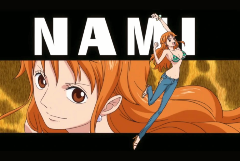 Nami One Piece Guide: The Ship Navigator Of The Future Pirate King ...